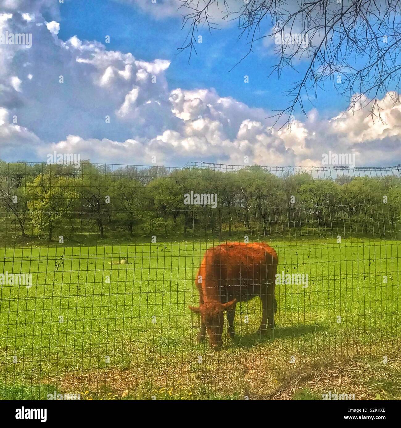 Milka landscape hi-res stock photography and images - Alamy