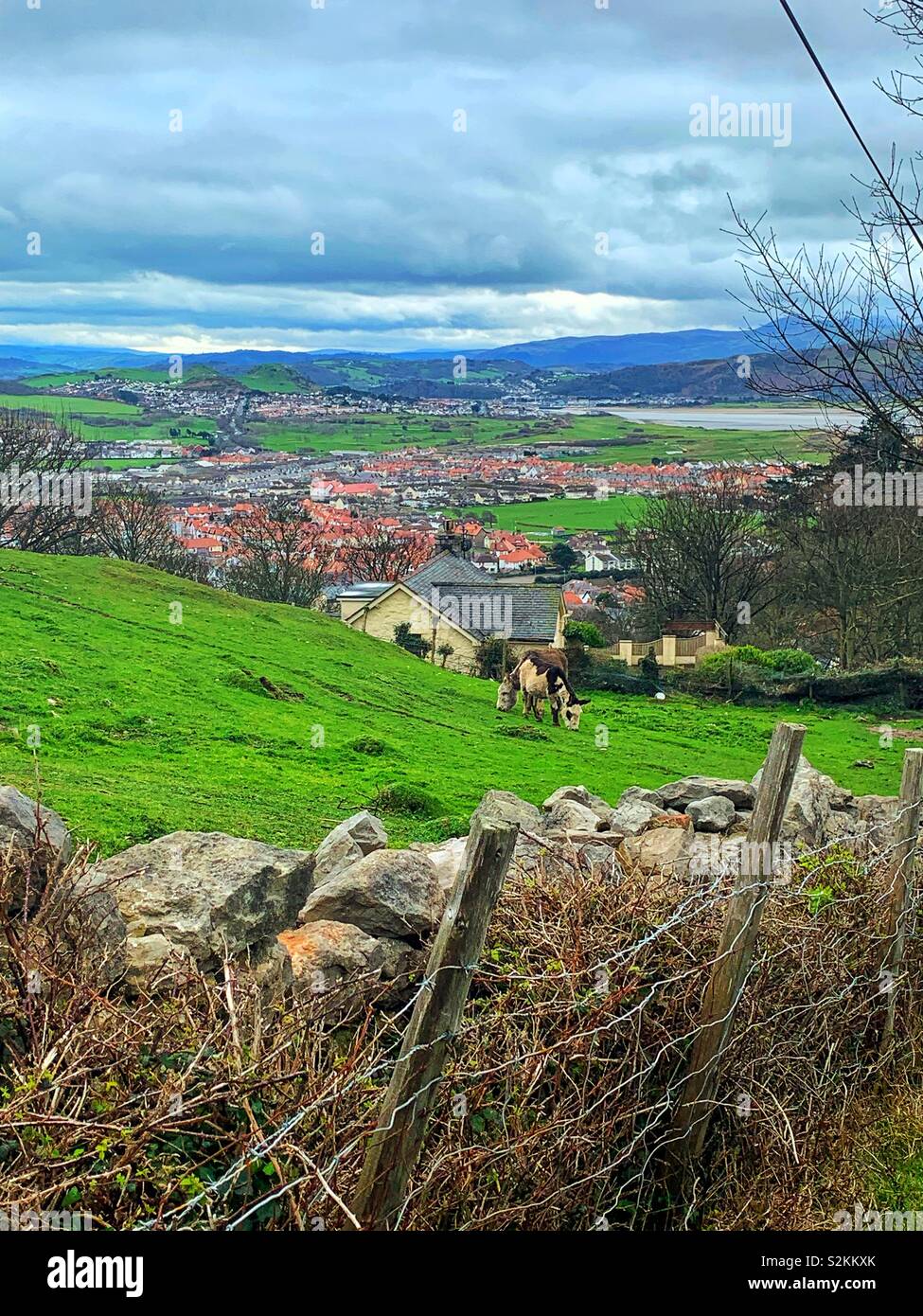 Quick stop hi-res stock photography and images - Alamy