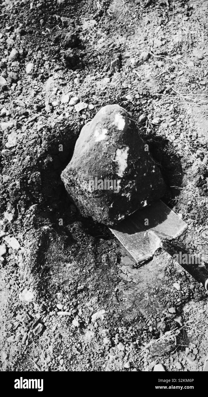 Dig soil Black and White Stock Photos & Images - Alamy