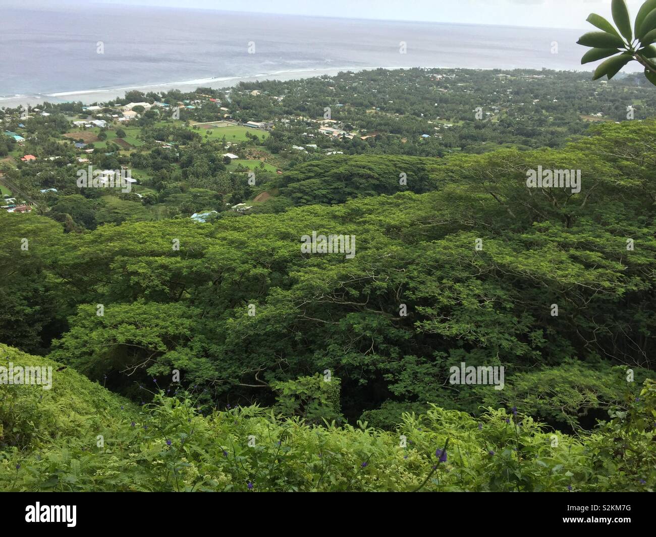 Ocean view from hike on Cook Islands Stock Photo - Alamy