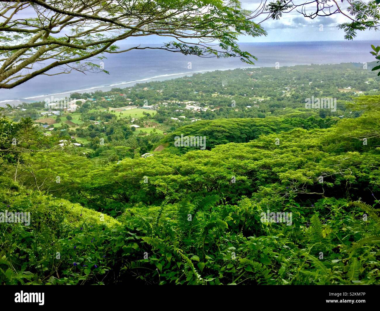 Ocean view from hike on Rarotonga, Cook Islands Stock Photo - Alamy