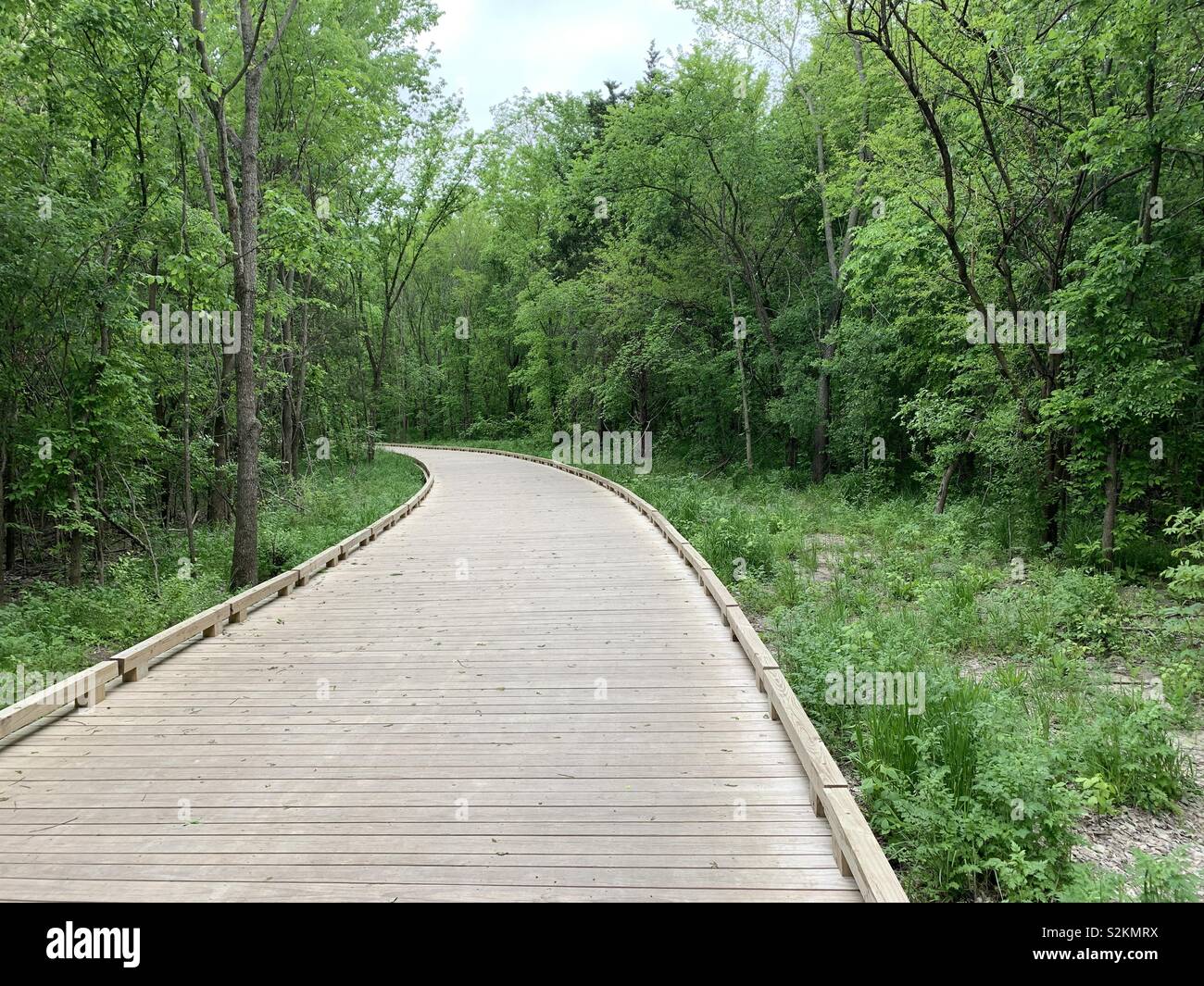 A pathway through nature Stock Photo - Alamy