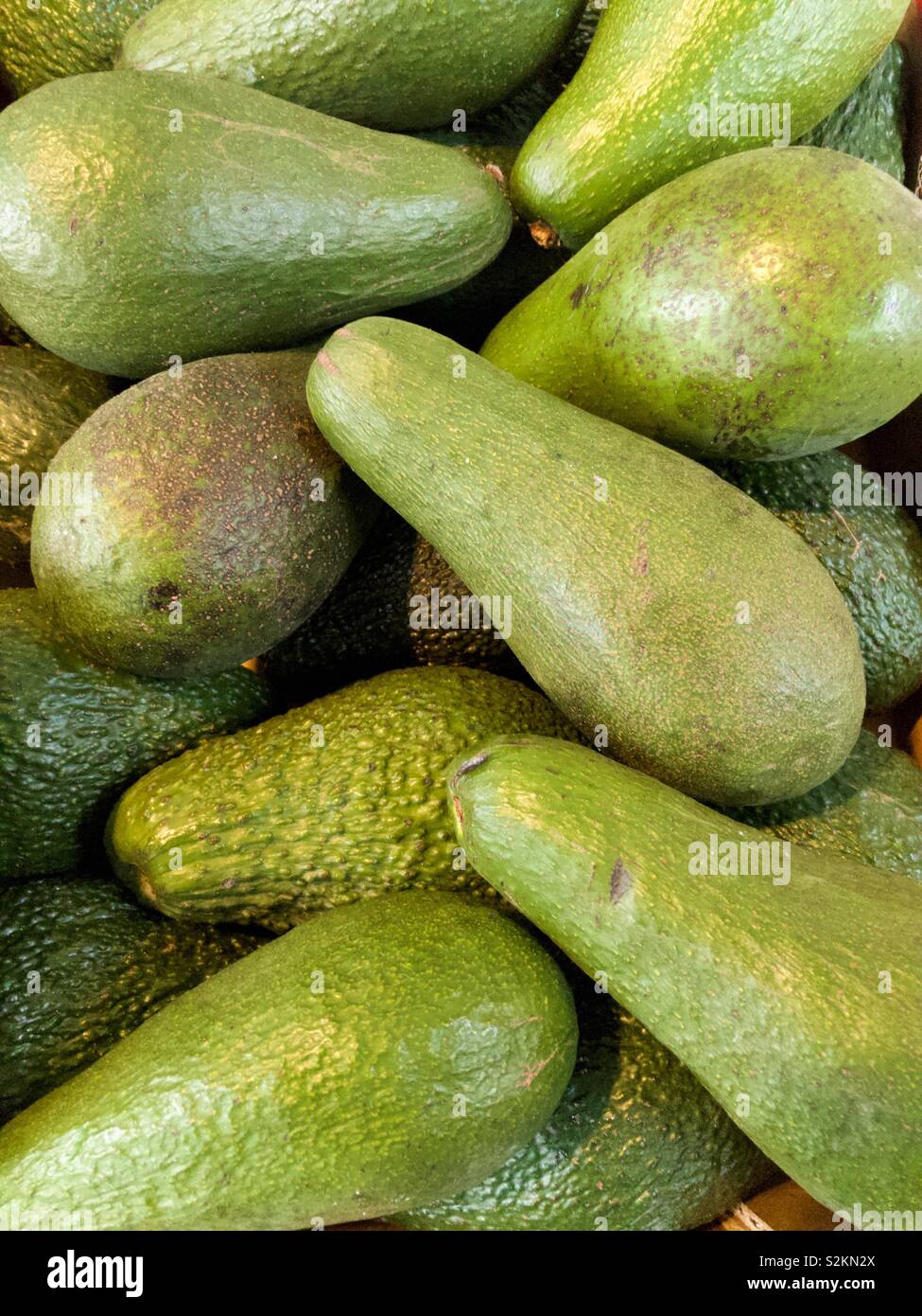 Avocado pears hi-res stock photography and images - Alamy