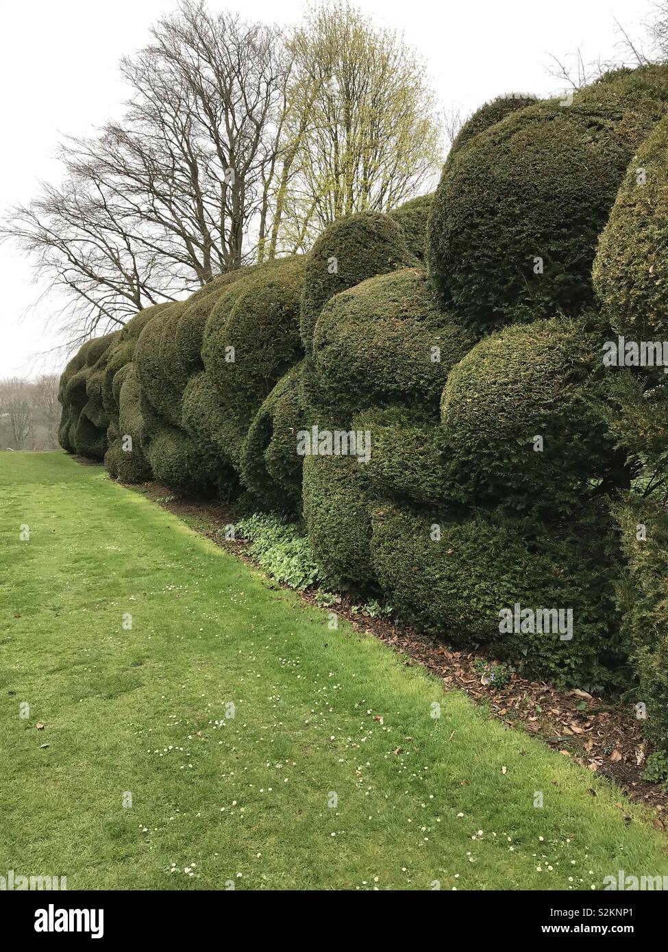 Cloud topiary hi-res stock photography and images - Alamy