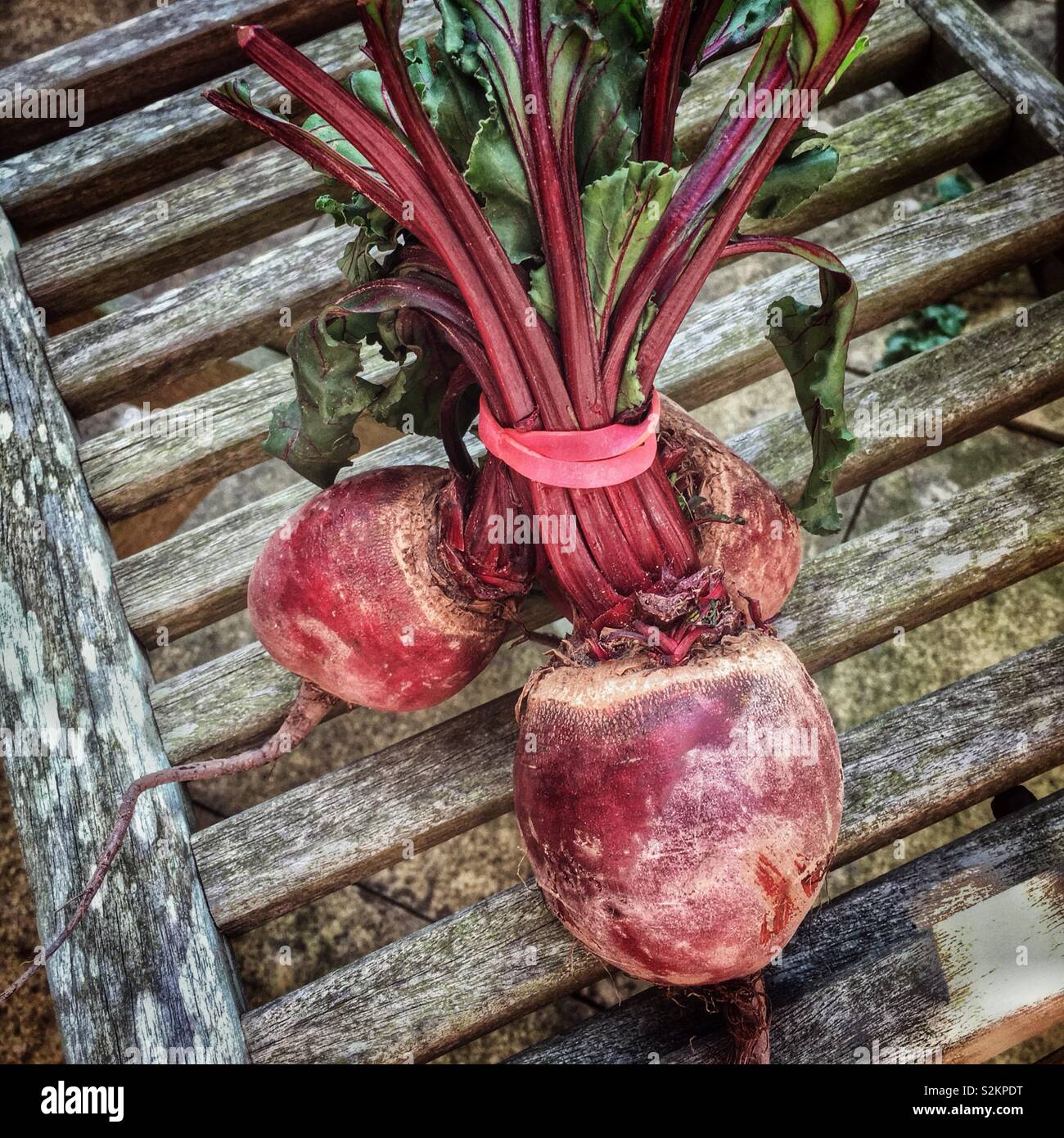 Beetroot wooden tray hi-res stock photography and images - Alamy