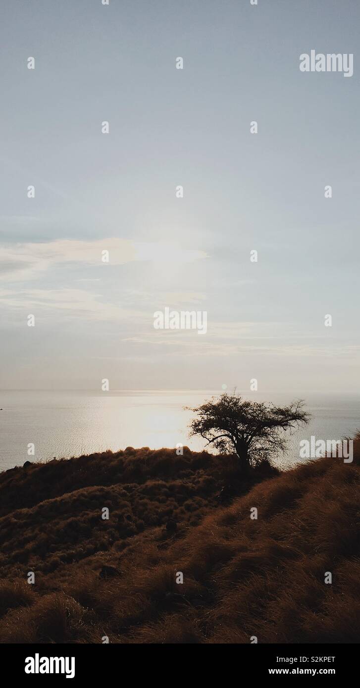 Morning in Komodo Islands Stock Photo - Alamy