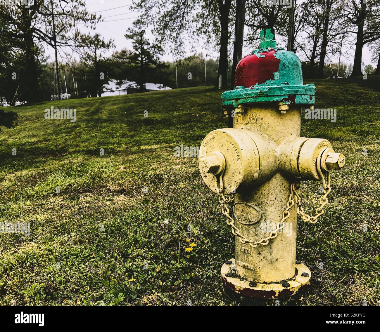 Fire hydrant in the grass hi-res stock photography and images - Alamy
