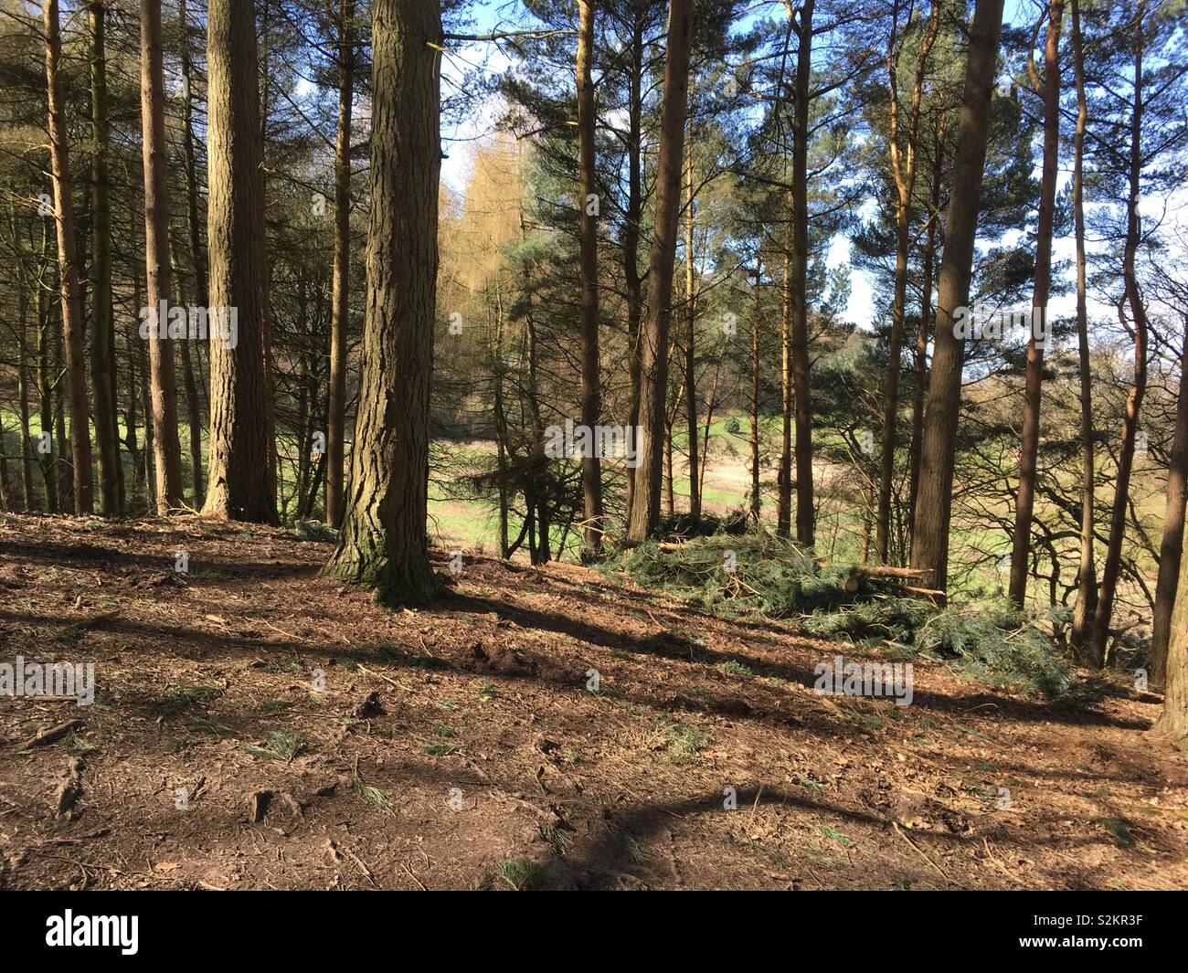 Alderley hi-res stock photography and images - Alamy