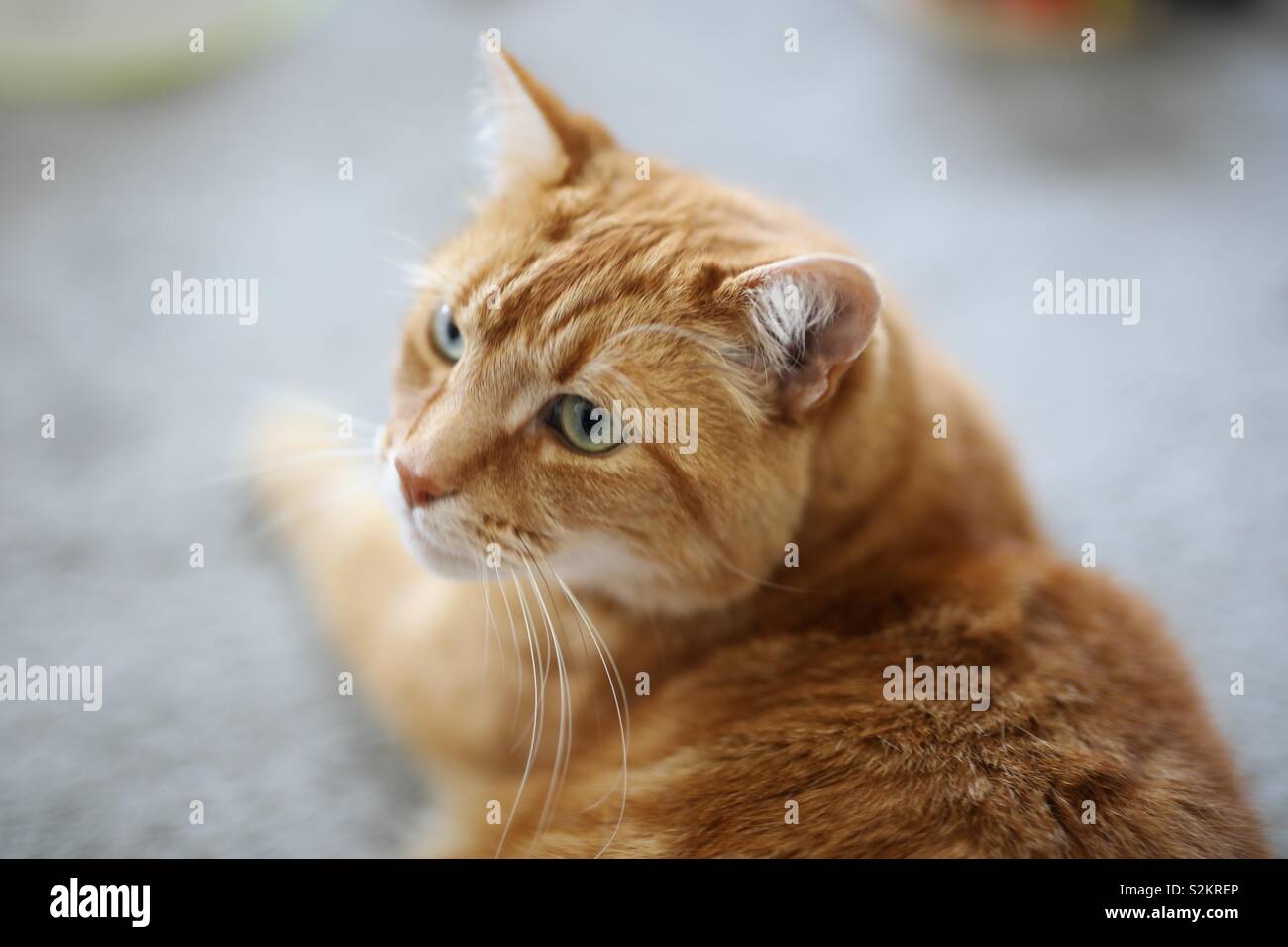 Floor tom tom hi-res stock photography and images - Alamy