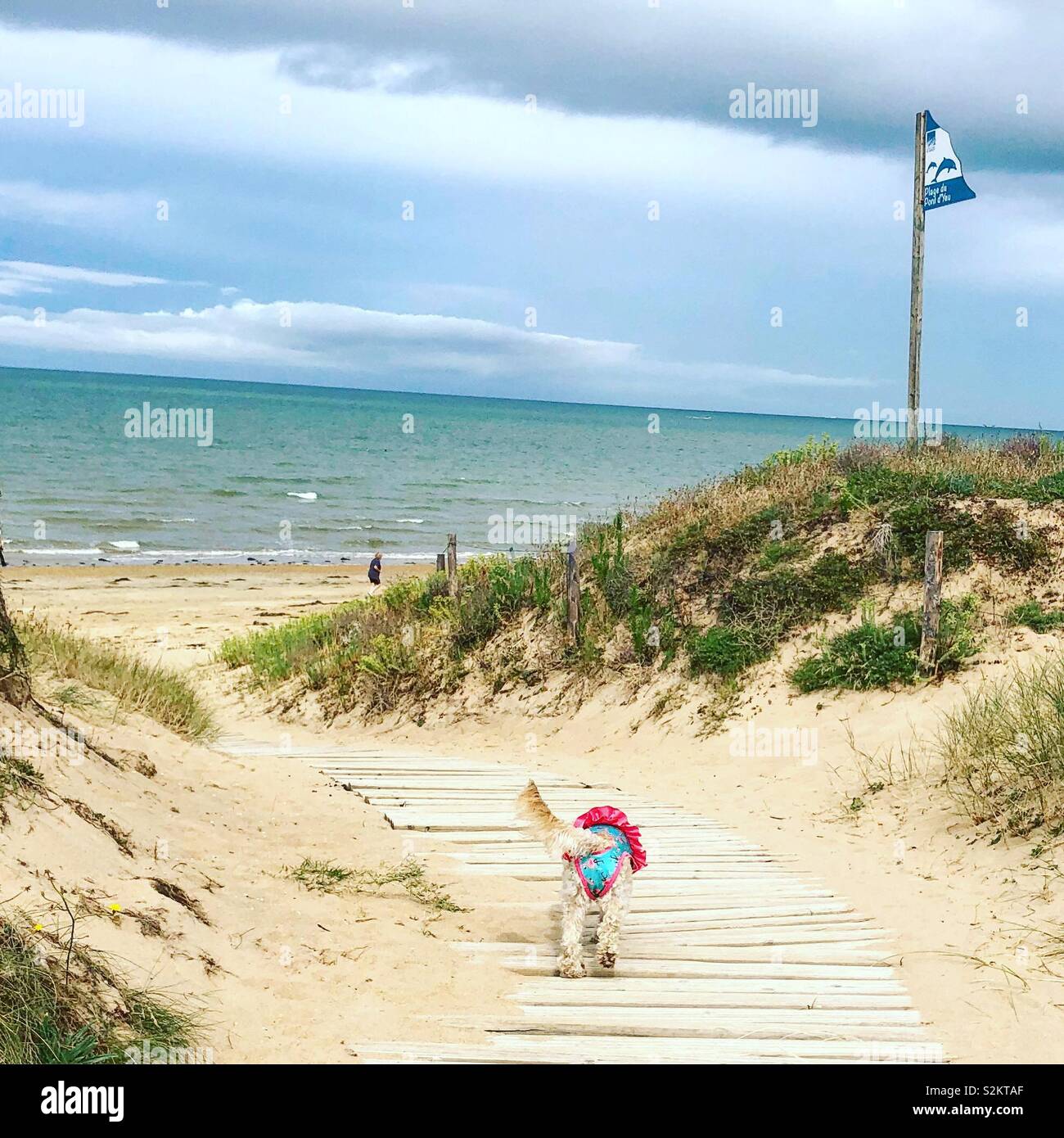 Big bum hi-res stock photography and images - Alamy