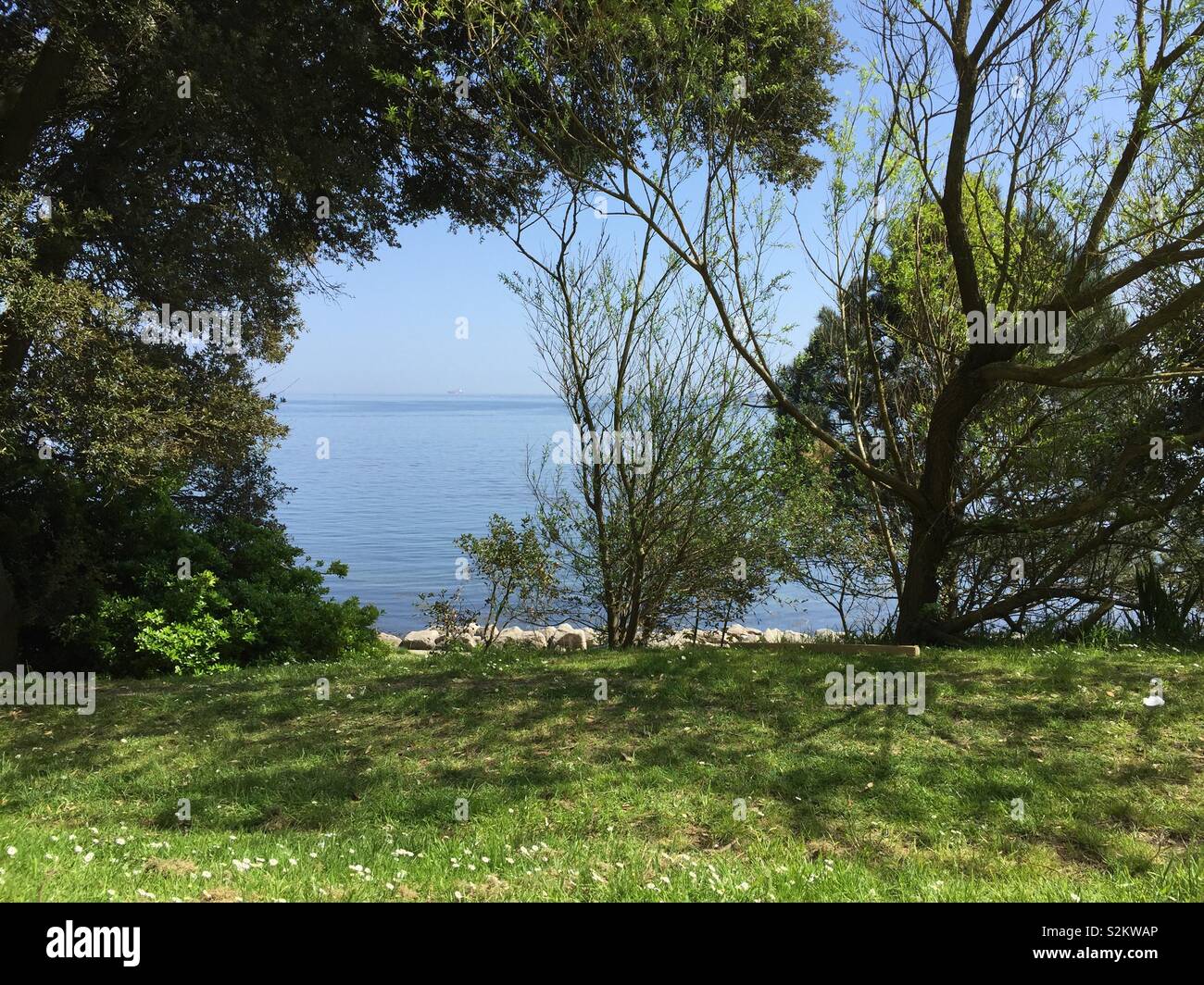 Nature scene in England with grass, trees and the ocean in the ...