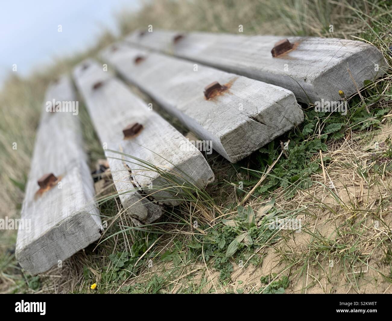 Wood beach hi-res stock photography and images - Alamy