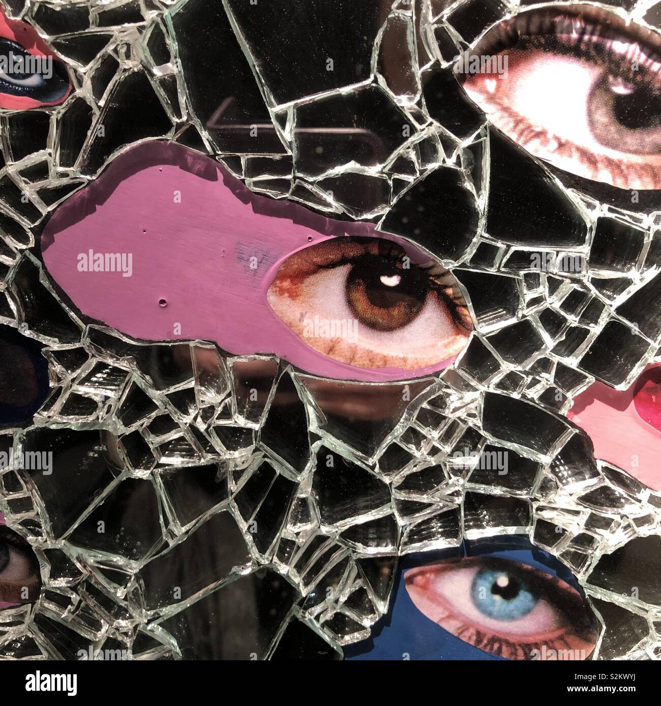 Lambie High Resolution Stock Photography and Images - Alamy