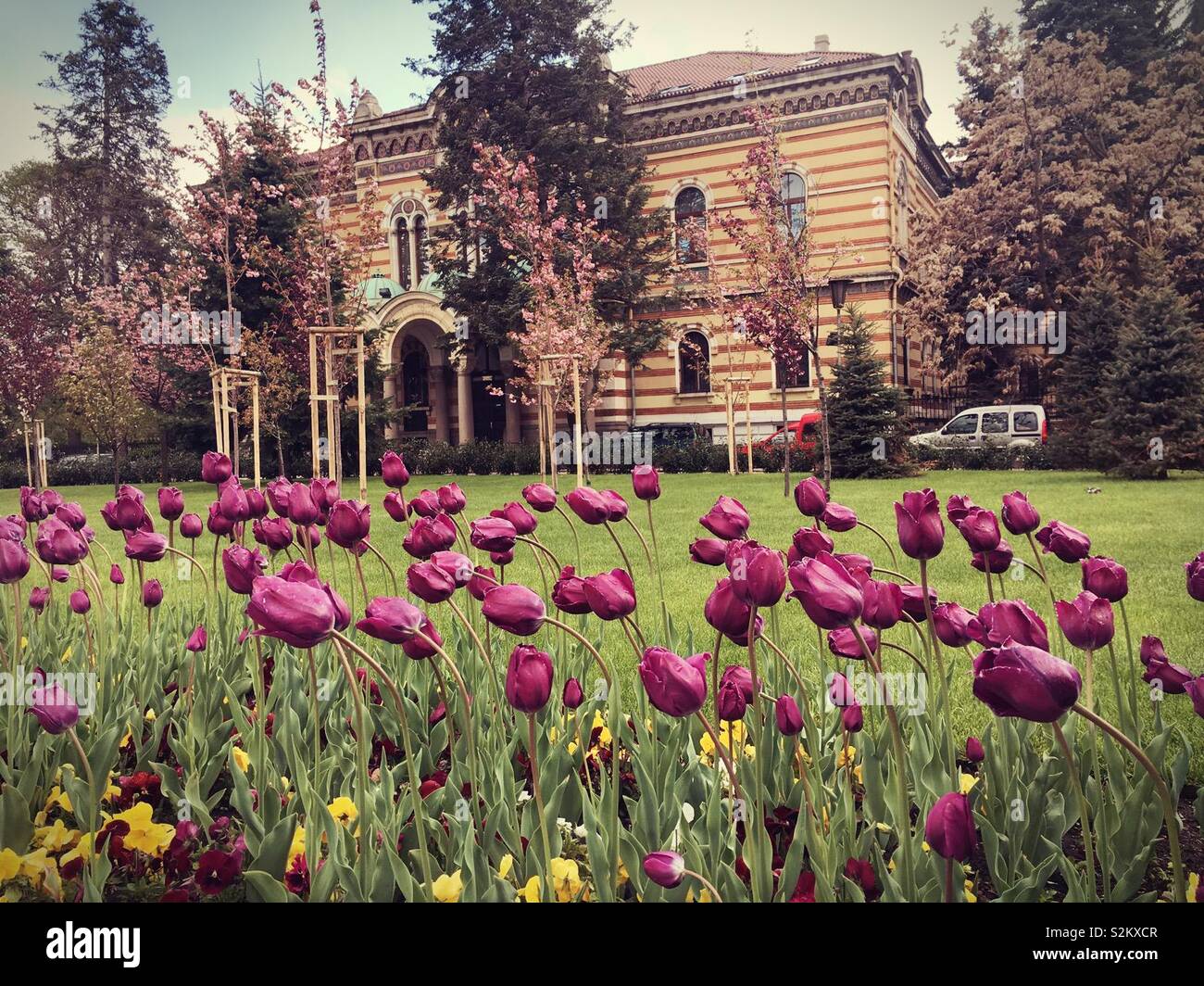 Spring in Sofia, the capital of Bulgaria Stock Photo - Alamy