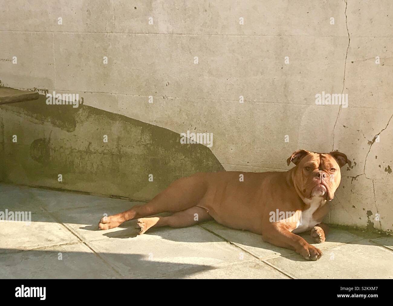 Tyme High Resolution Stock Photography and Images - Alamy