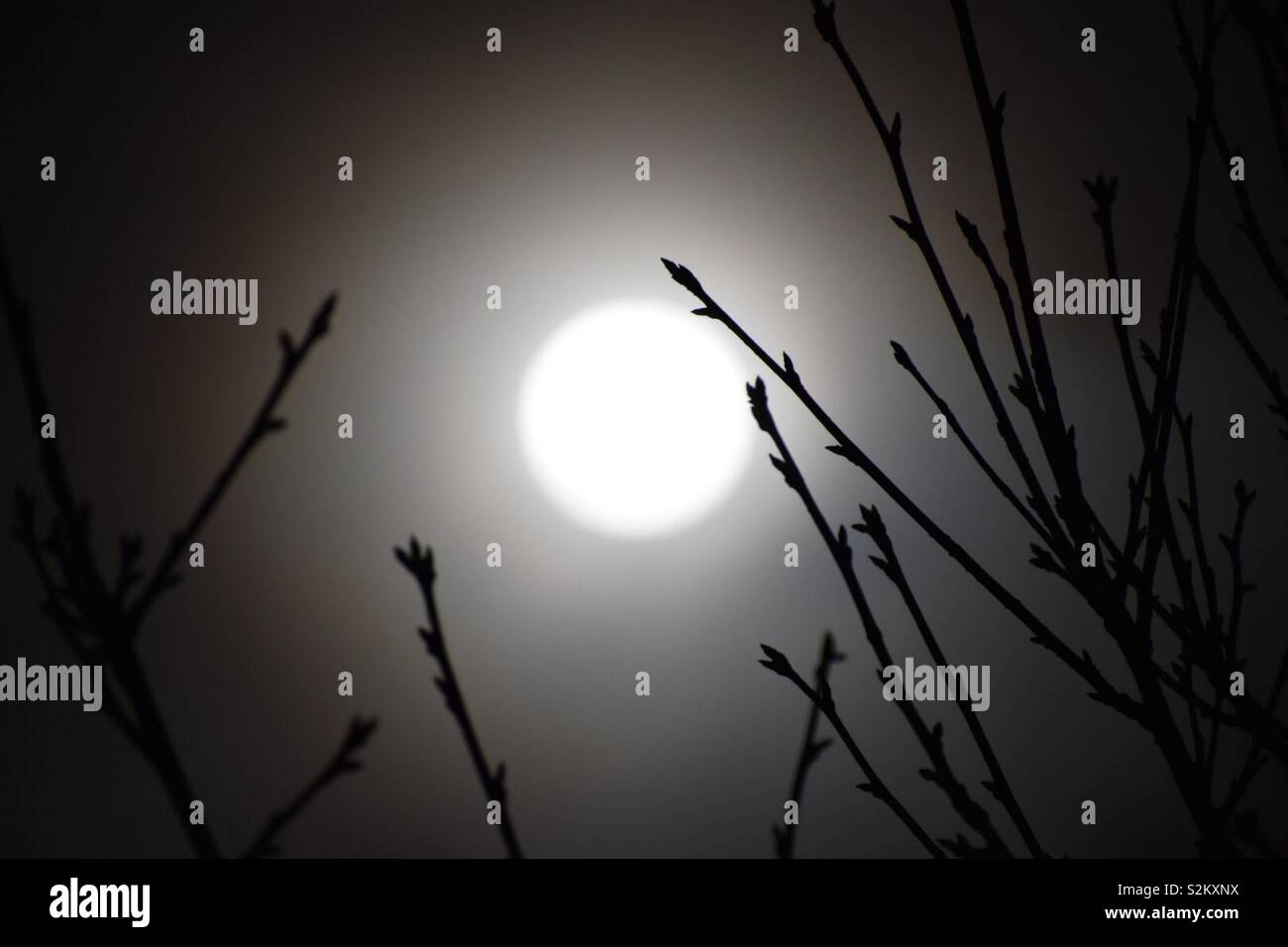Hunger moon winter hi-res stock photography and images - Alamy