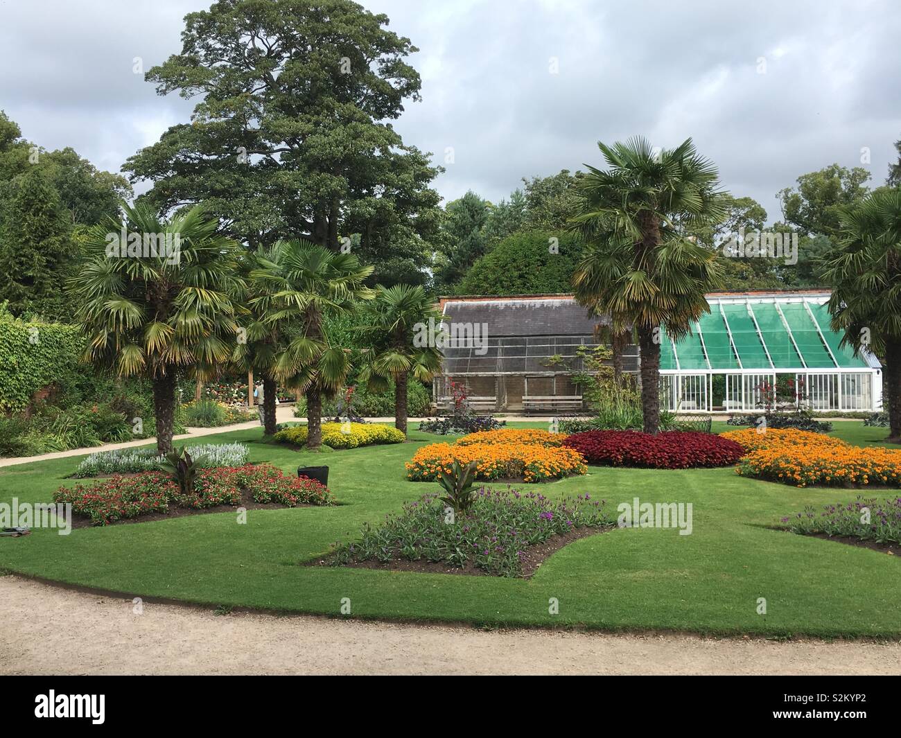 Formal trees hi-res stock photography and images - Alamy