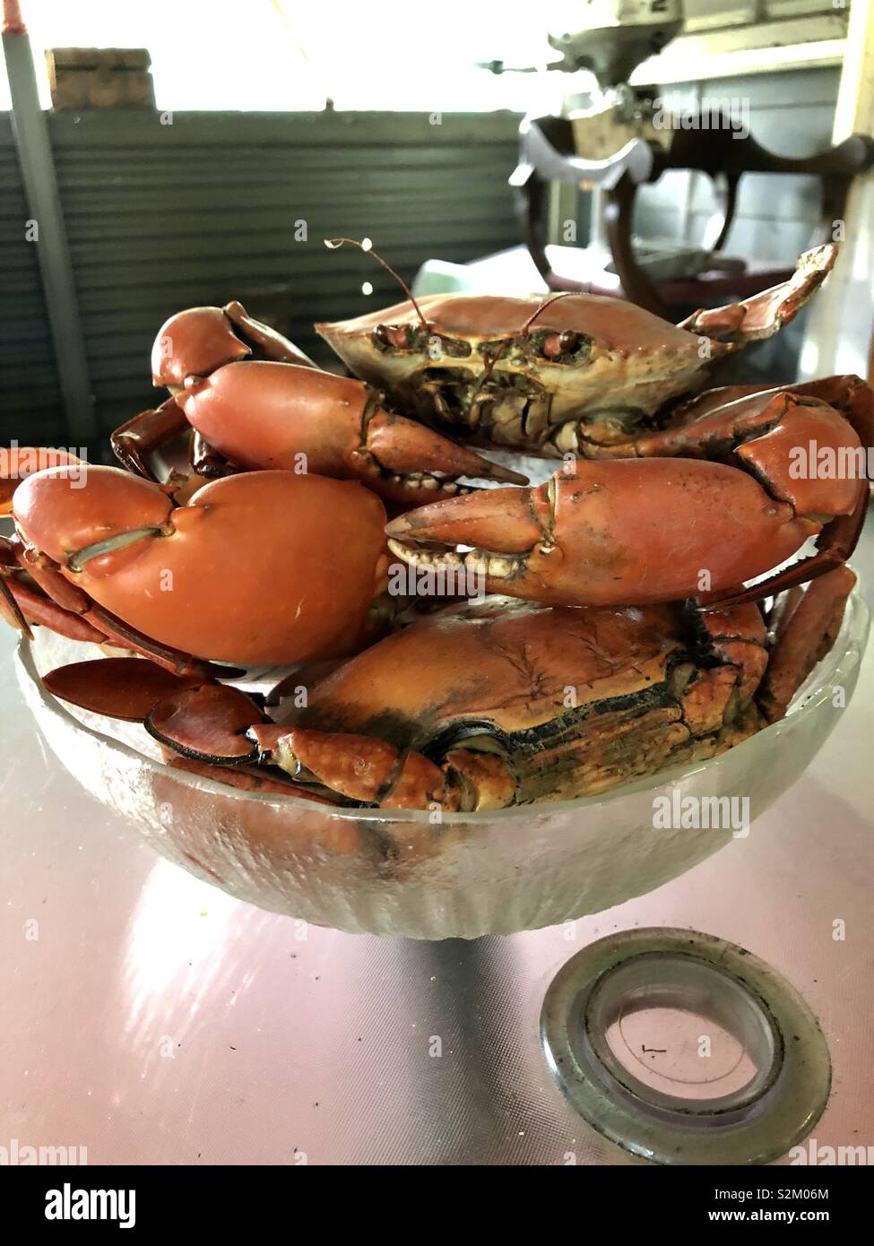 Mud crabs queensland hi-res stock photography and images - Alamy