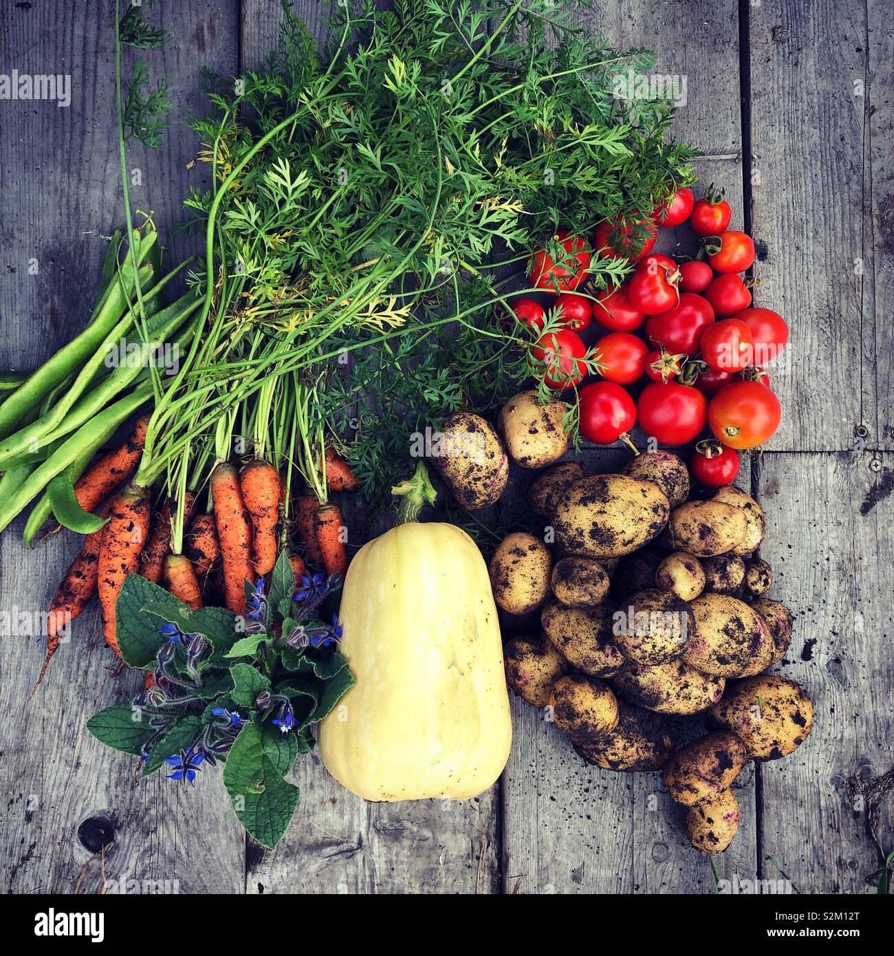 Allotment vegetables hi-res stock photography and images - Alamy