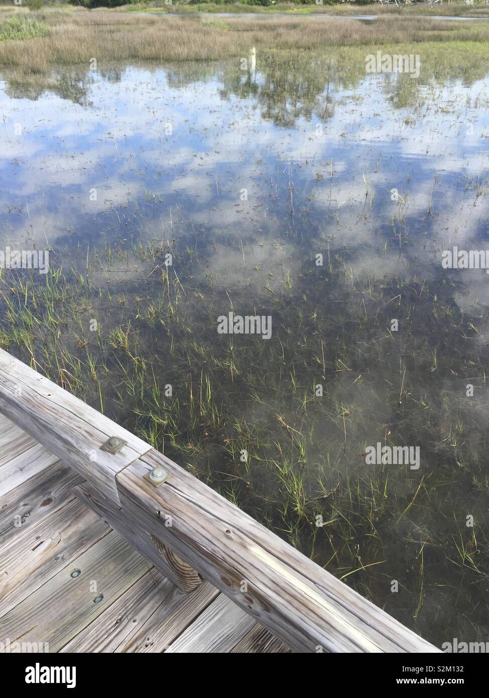 Savannah salt marsh hi-res stock photography and images - Alamy