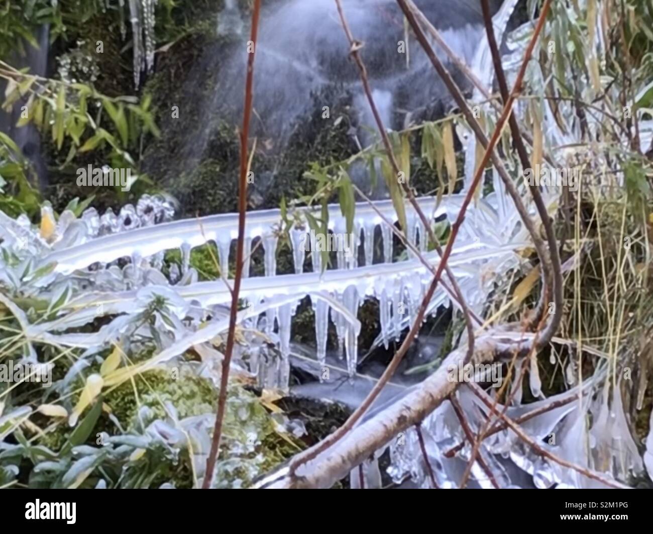 Very icy day hi-res stock photography and images - Alamy