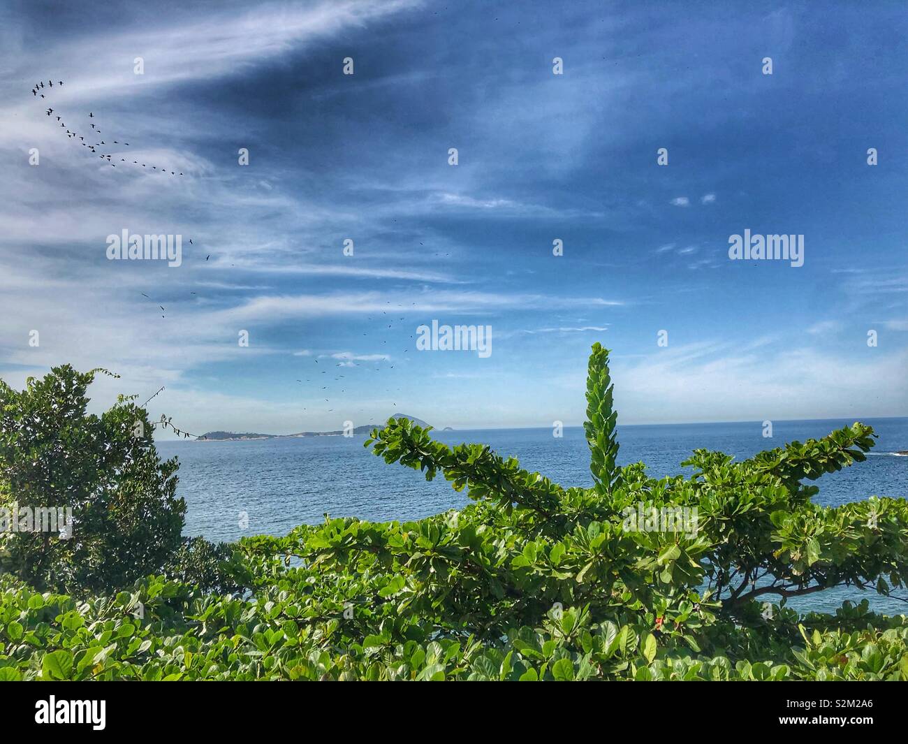 All about nature, greenery, sea and sky Stock Photo - Alamy