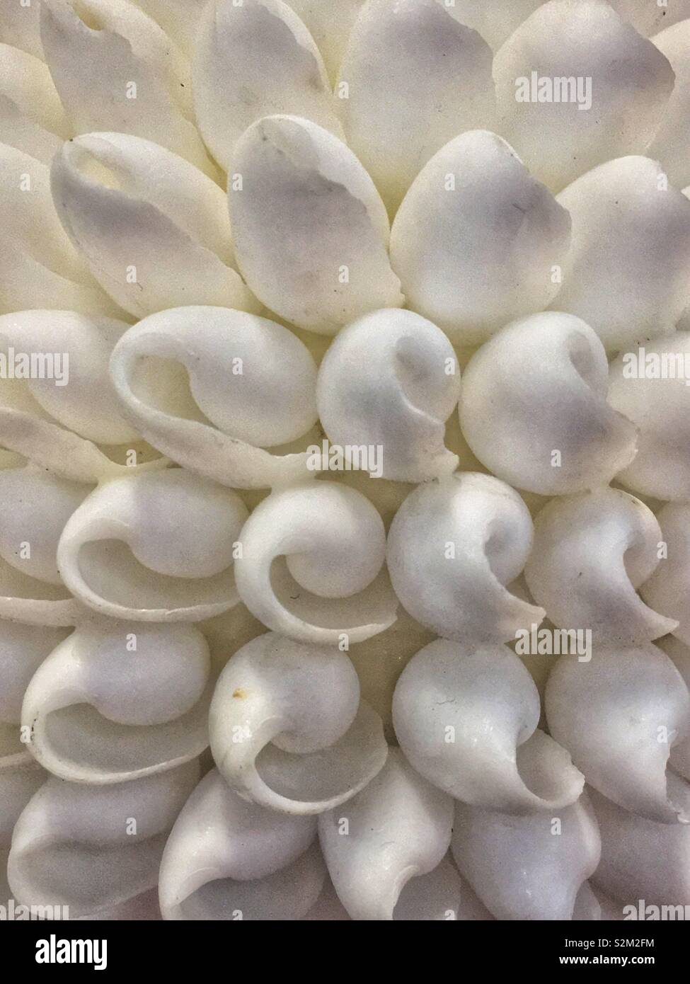White seashells glued to a ball Stock Photo - Alamy