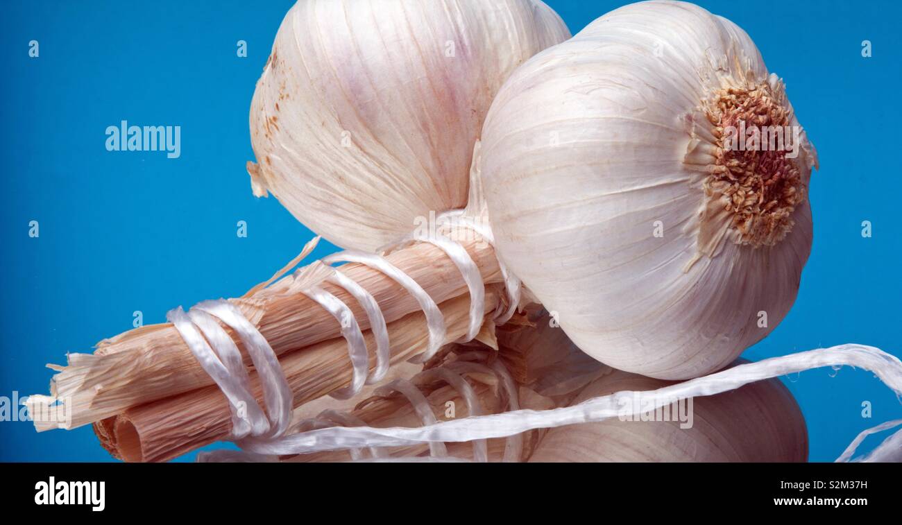 Organic fresh garlic up close Stock Photo - Alamy