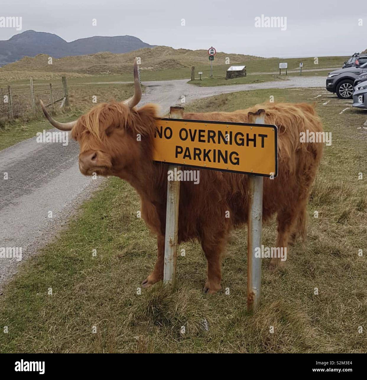 Only in Scotland...!! Stock Photo - Alamy