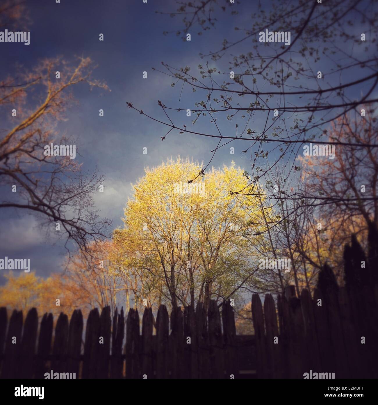 Spring evening before a storm. Backyard in Upstate New York, USA Stock ...