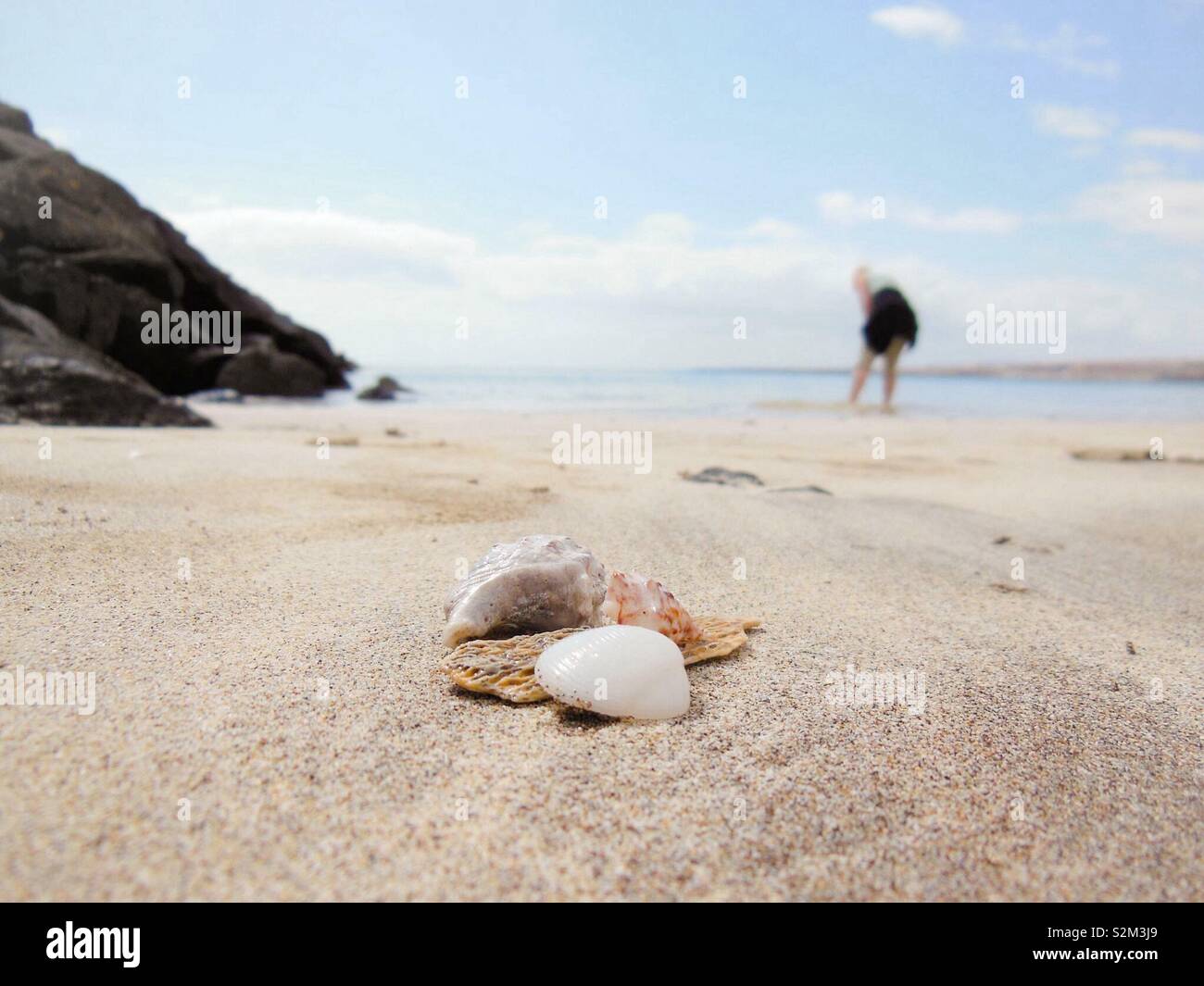 Searching for shells (landscape Stock Photo - Alamy