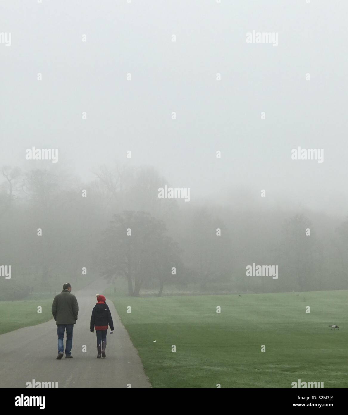 Misty Winter English walk in the countryside Stock Photo - Alamy