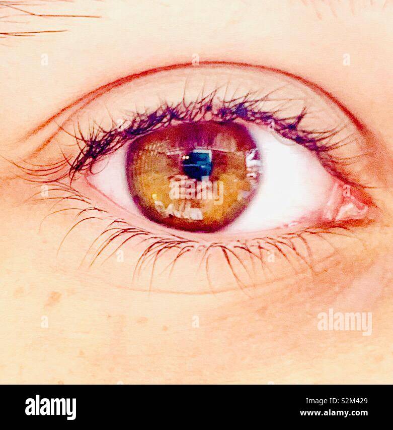 Closeup of a beautiful hazel colour eye Stock Photo - Alamy