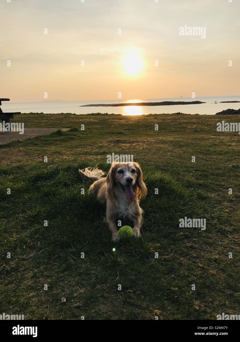 Happy sun hi-res stock photography and images - Alamy