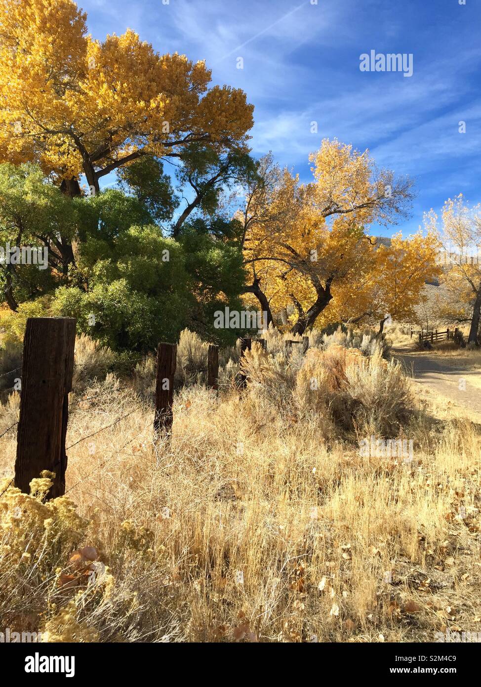 Northern nevada hi-res stock photography and images - Alamy