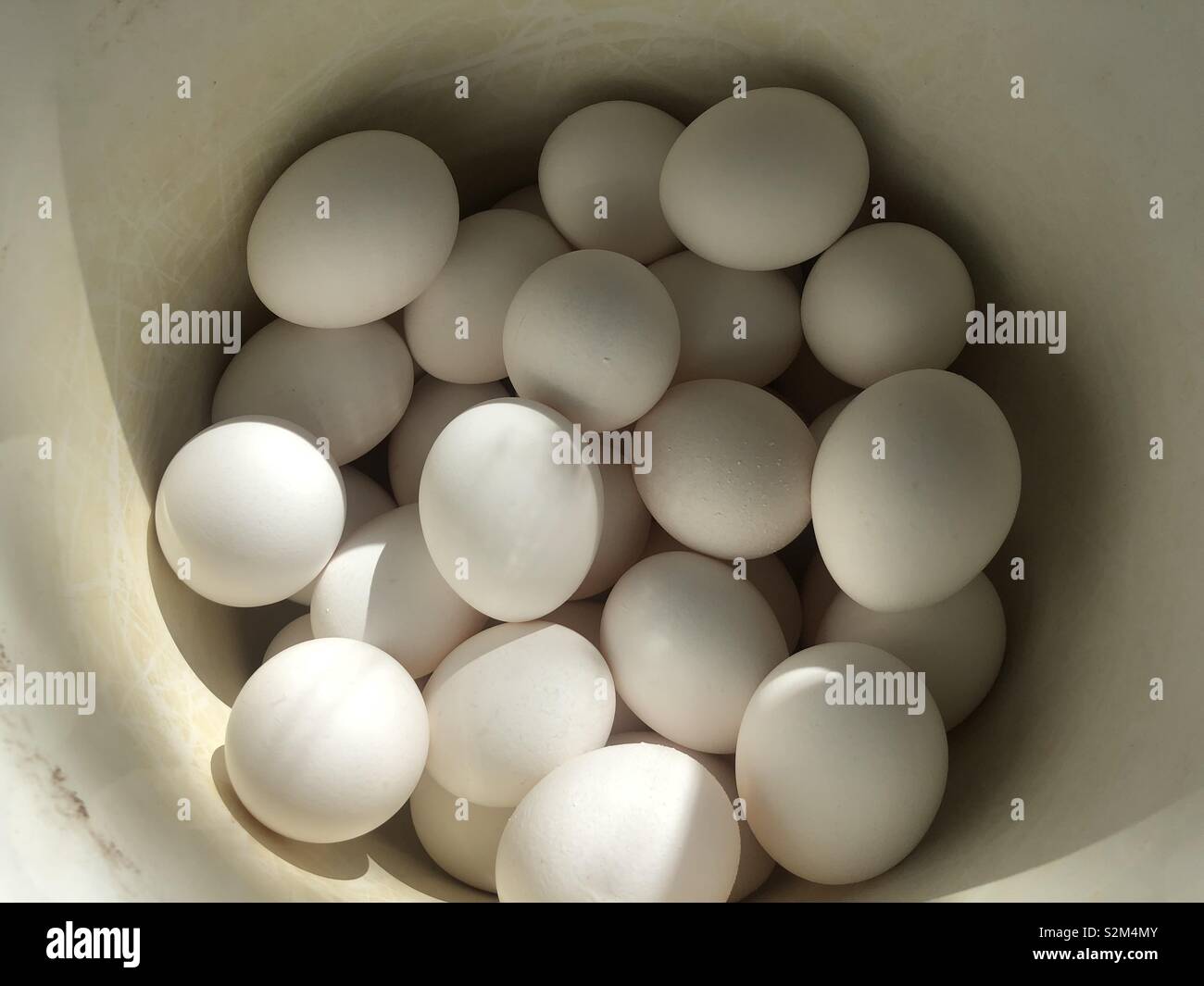 One hard boiled egg hi-res stock photography and images - Alamy