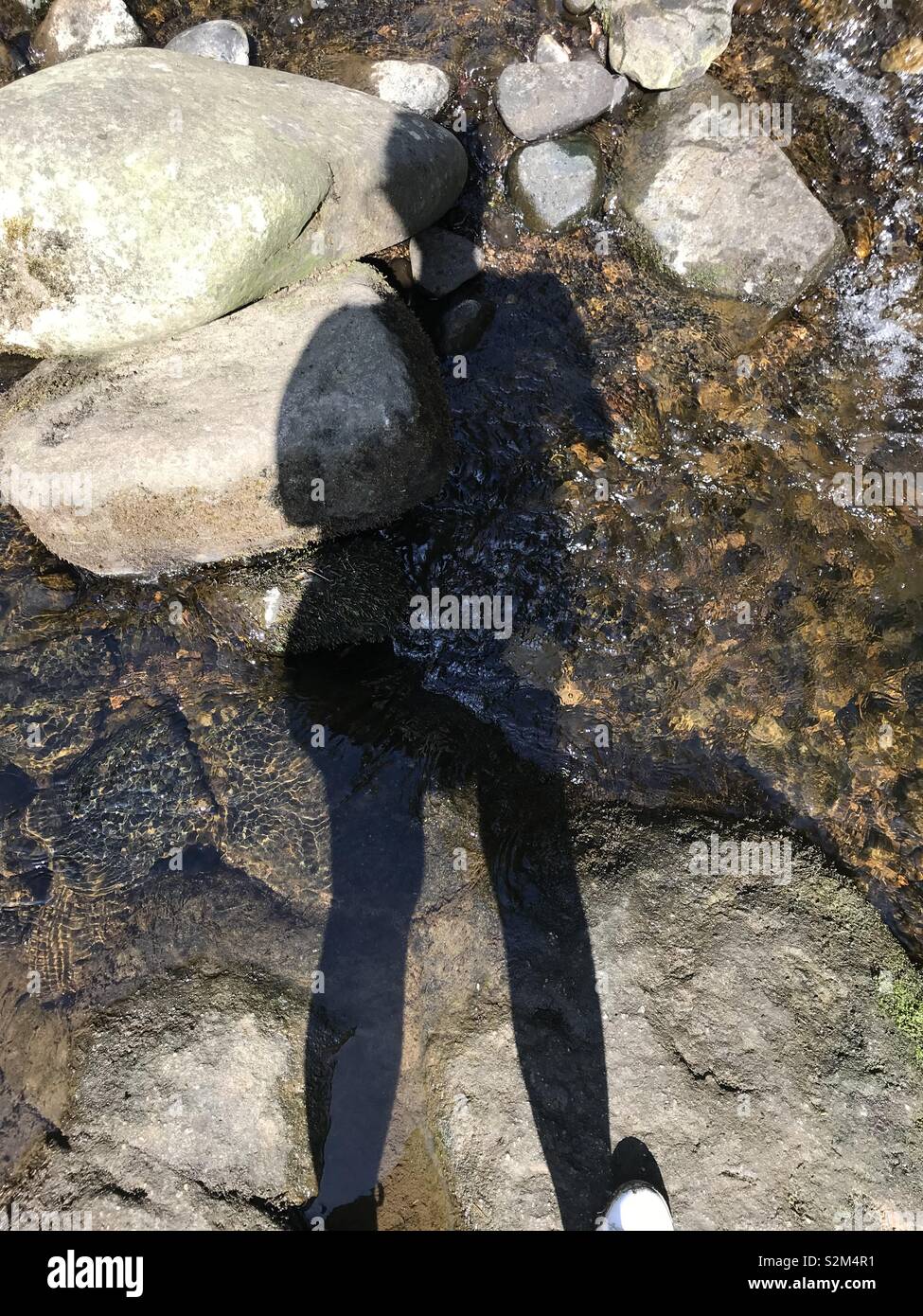 Shadow in the water Stock Photo - Alamy