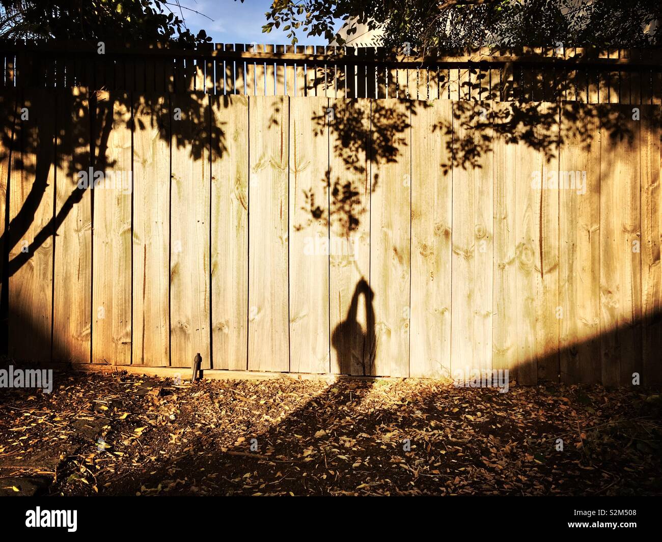 Shadow Child Silhouette High Resolution Stock Photography and Images ...