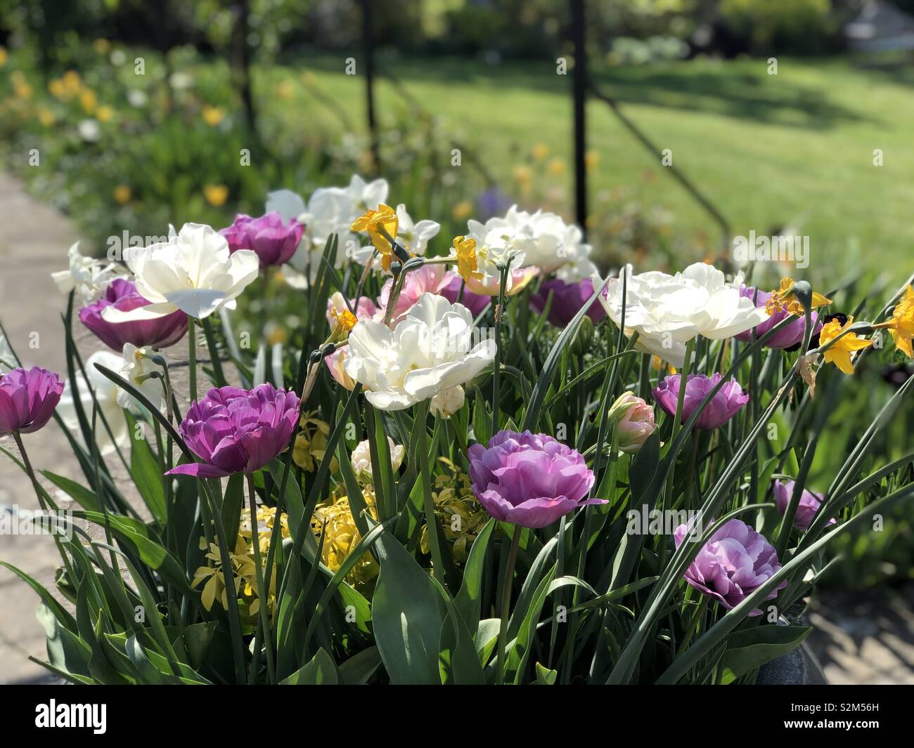 Colour burst hi-res stock photography and images - Alamy