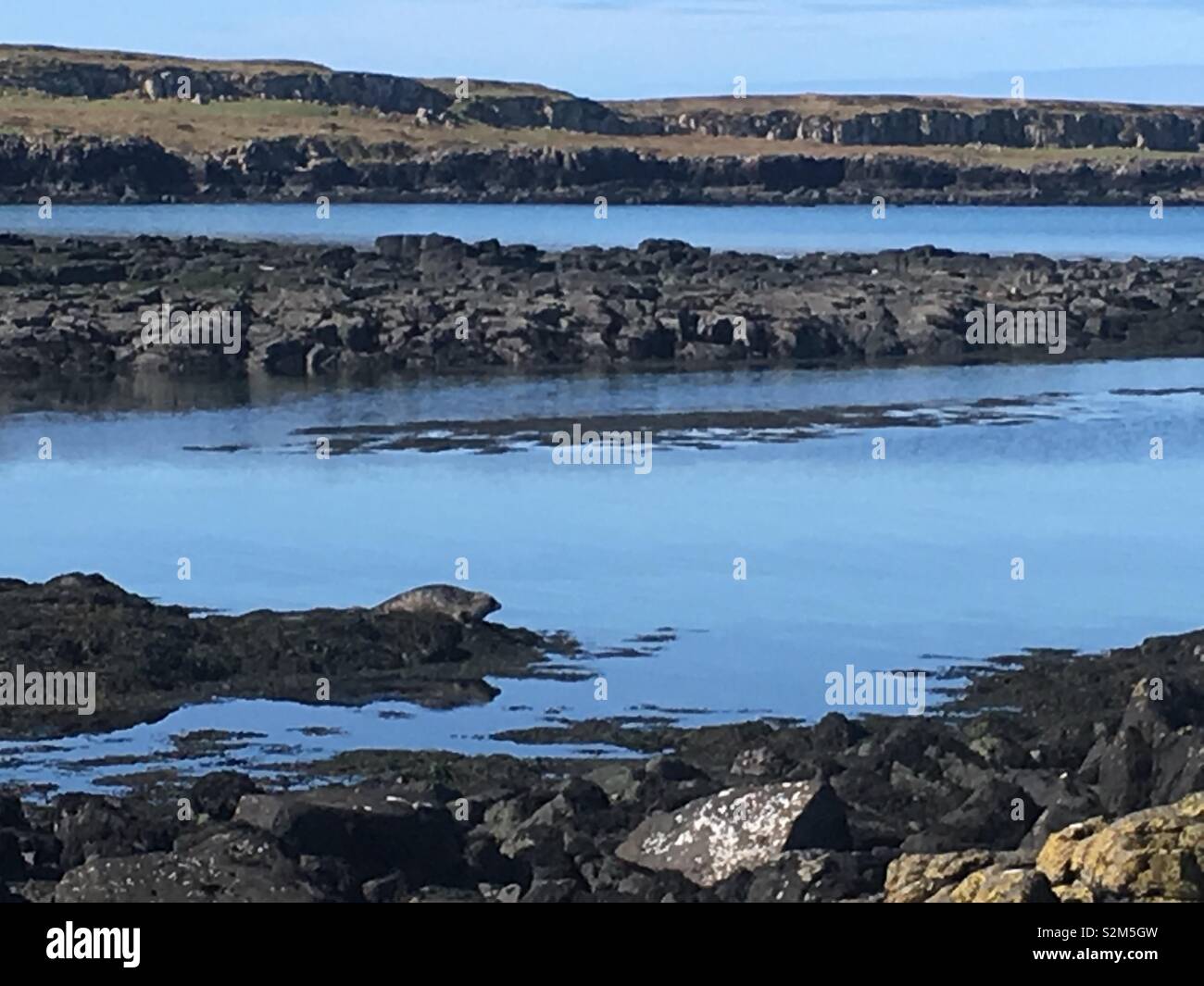 Muck island scotland hi-res stock photography and images - Alamy