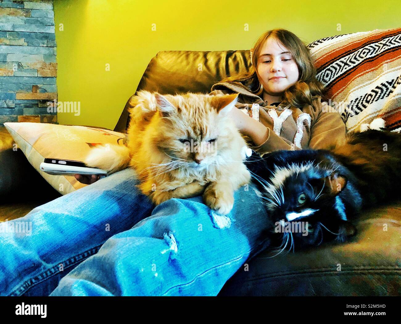 Teenage girl relaxing on sofa with two pet cats Stock Photo - Alamy