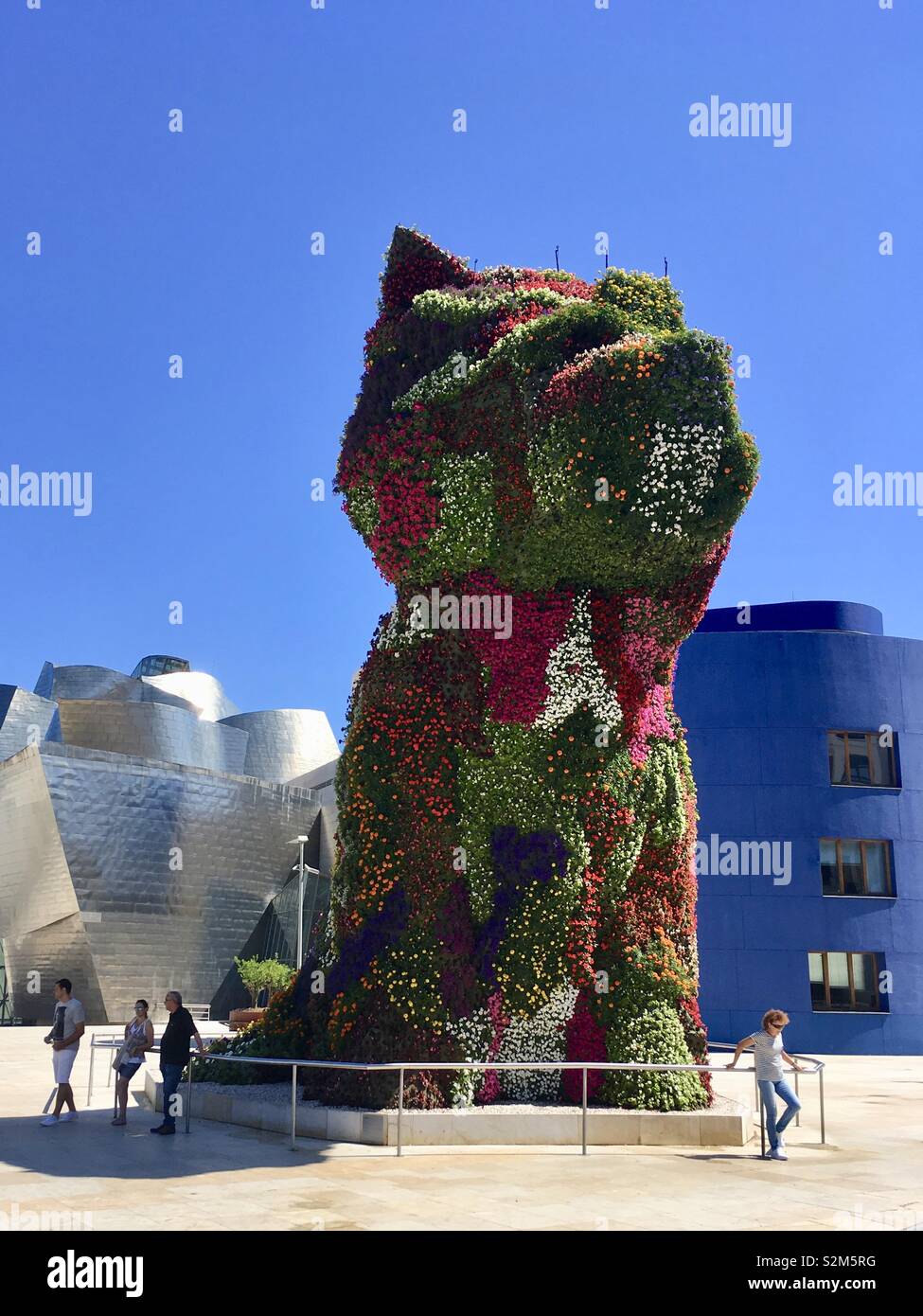 Bilbao puppy hi-res stock photography and images - Alamy