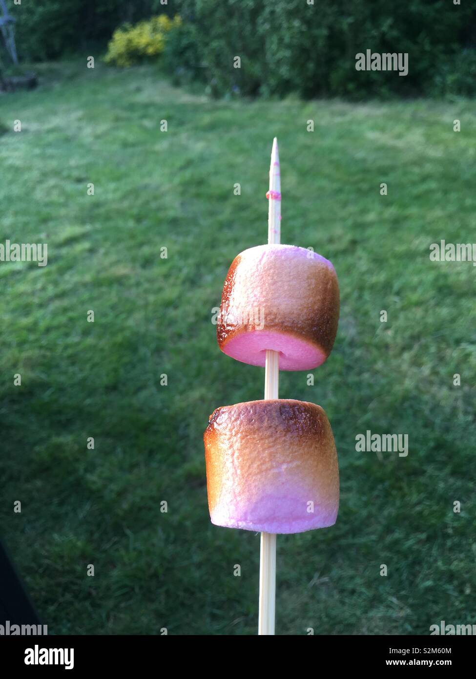 Toasting marshmallows hi-res stock photography and images - Alamy