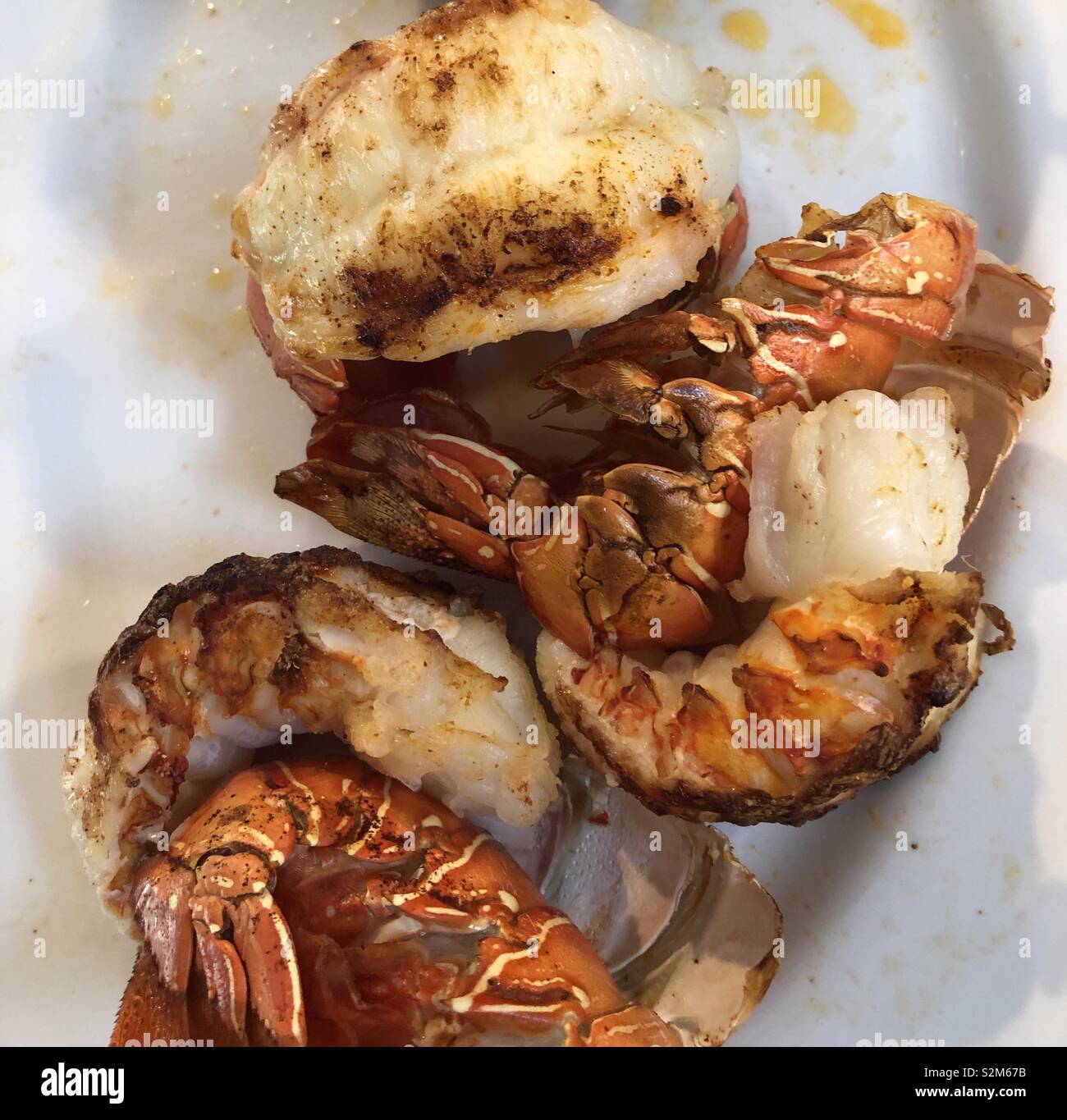 Lobster Shells High Resolution Stock Photography and Images - Alamy