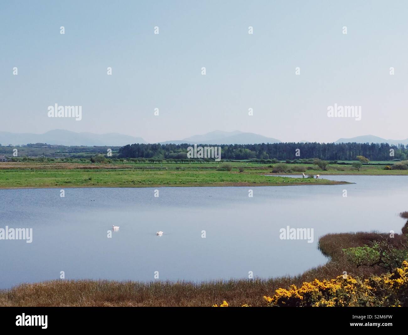 Malltraeth hi-res stock photography and images - Alamy