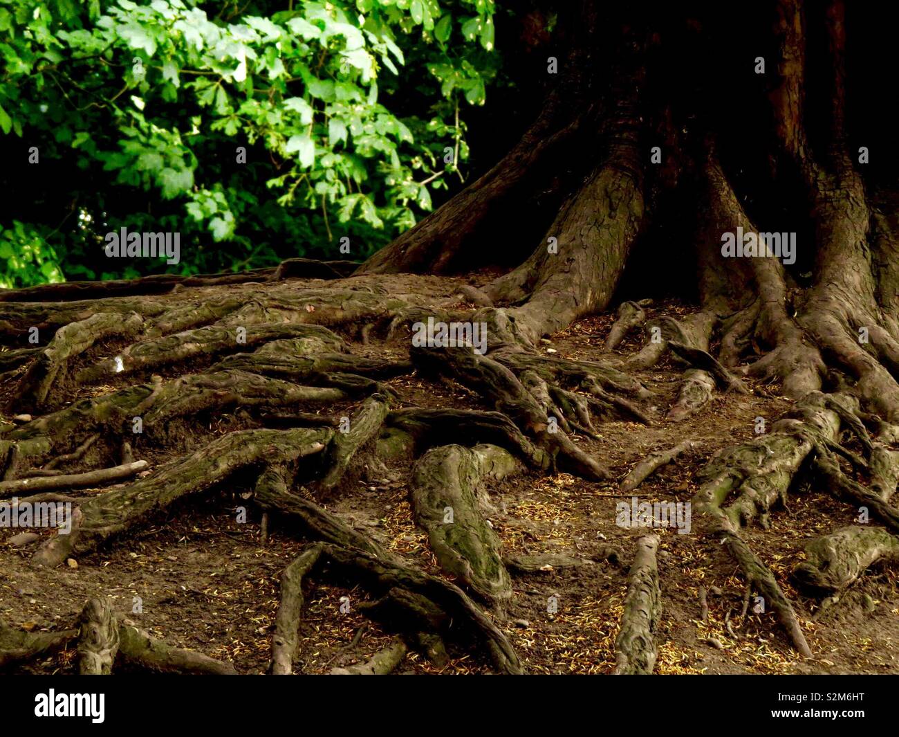 Stay Grounded High Resolution Stock Photography and Images - Alamy