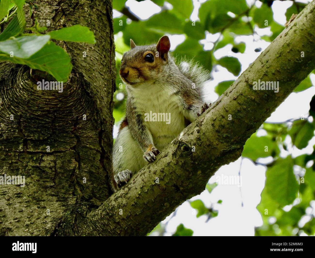 What’s that over there Stock Photo - Alamy