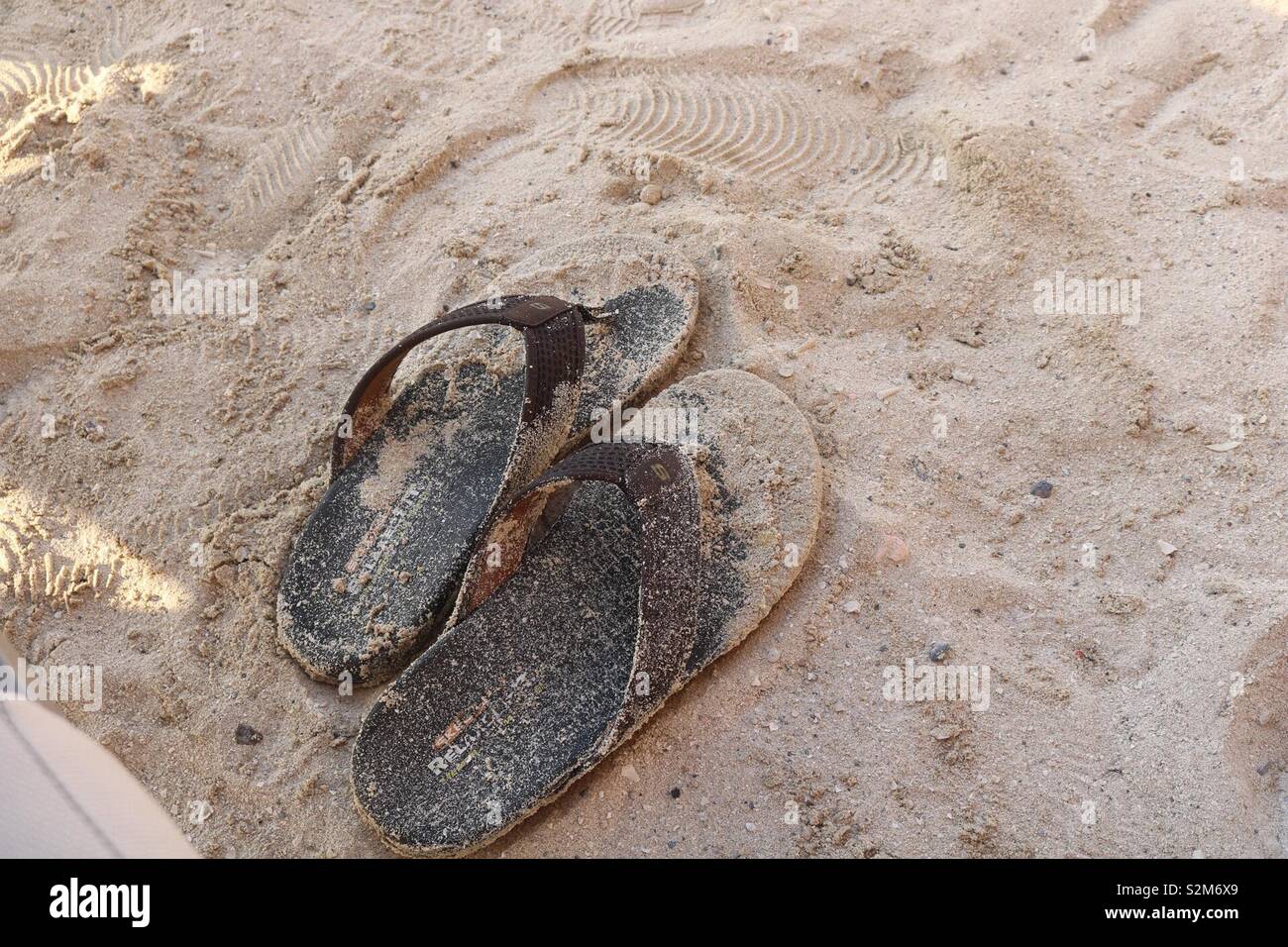 Flip Flops on a sandy beach in Dubai Stock Photo - Alamy