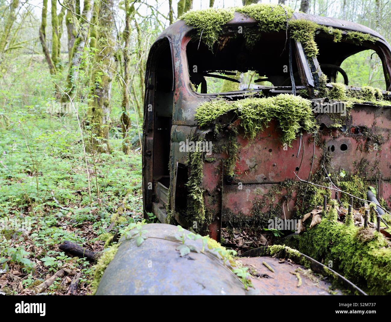 Truck with moss hi-res stock photography and images - Alamy