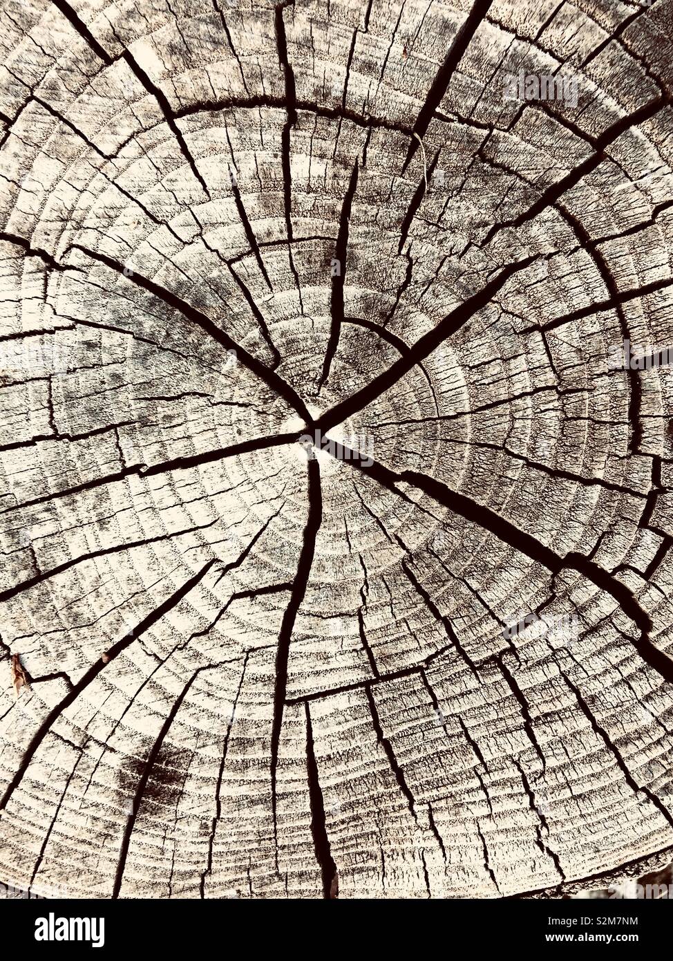 Splitting hi-res stock photography and images - Alamy